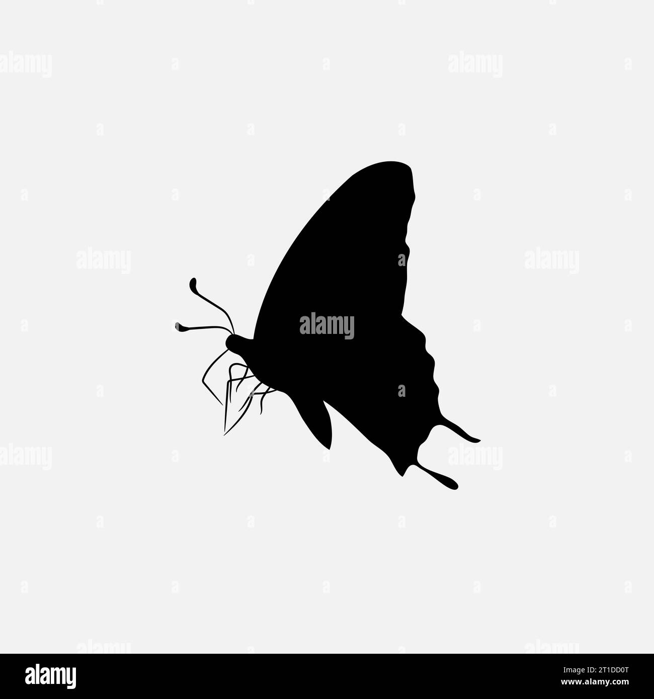 Butterfly Vector Png Image Clip Art Stock Vector Image And Art Alamy