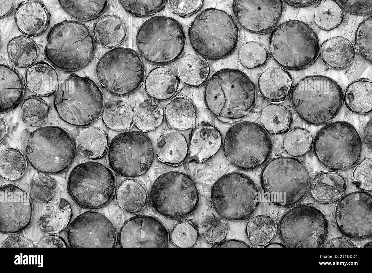 Texture square wooden bars . background of a tree. Wood Texture, Wooden ...