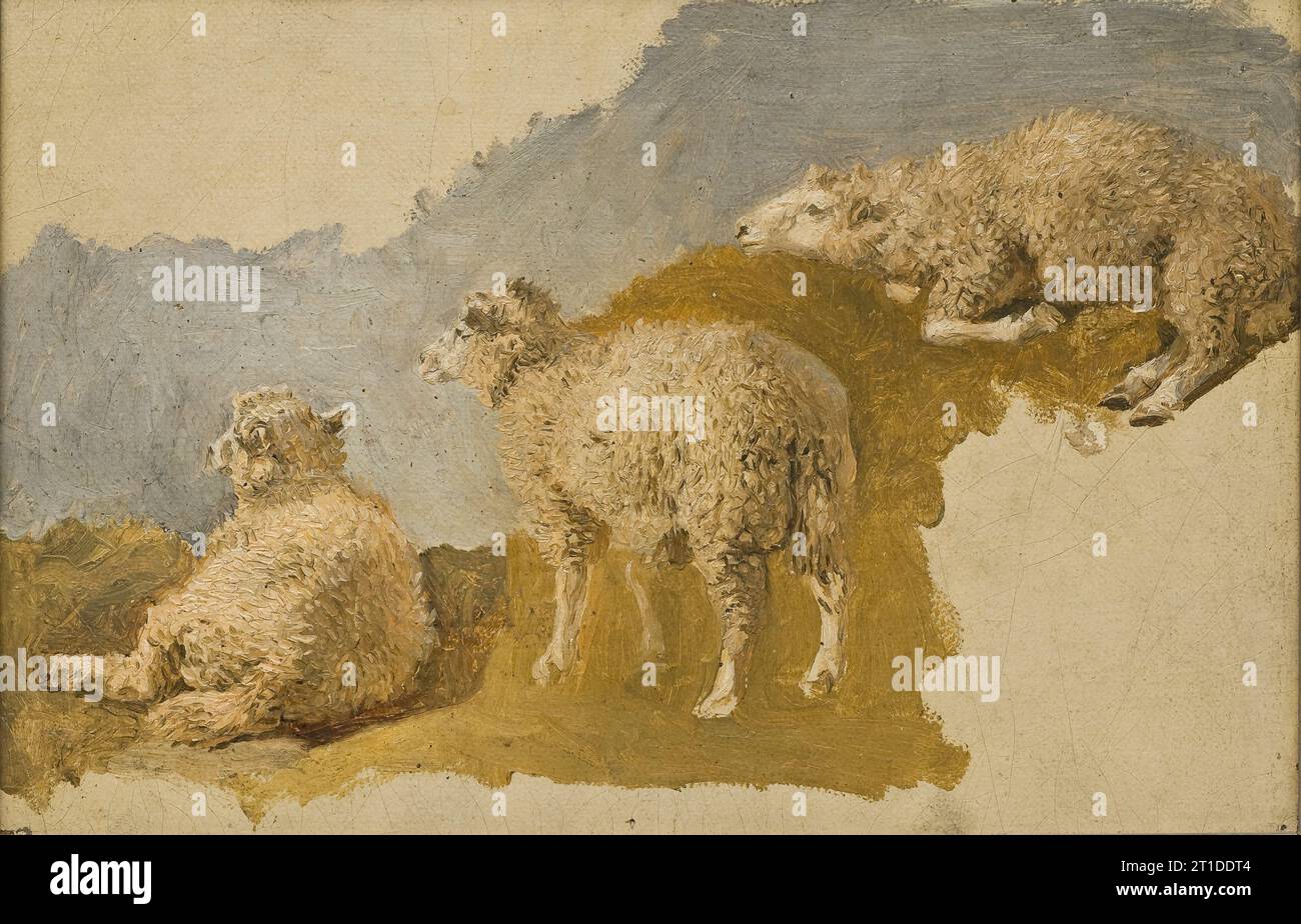 Three Sheep. Study, mid-19th century Stock Photo - Alamy