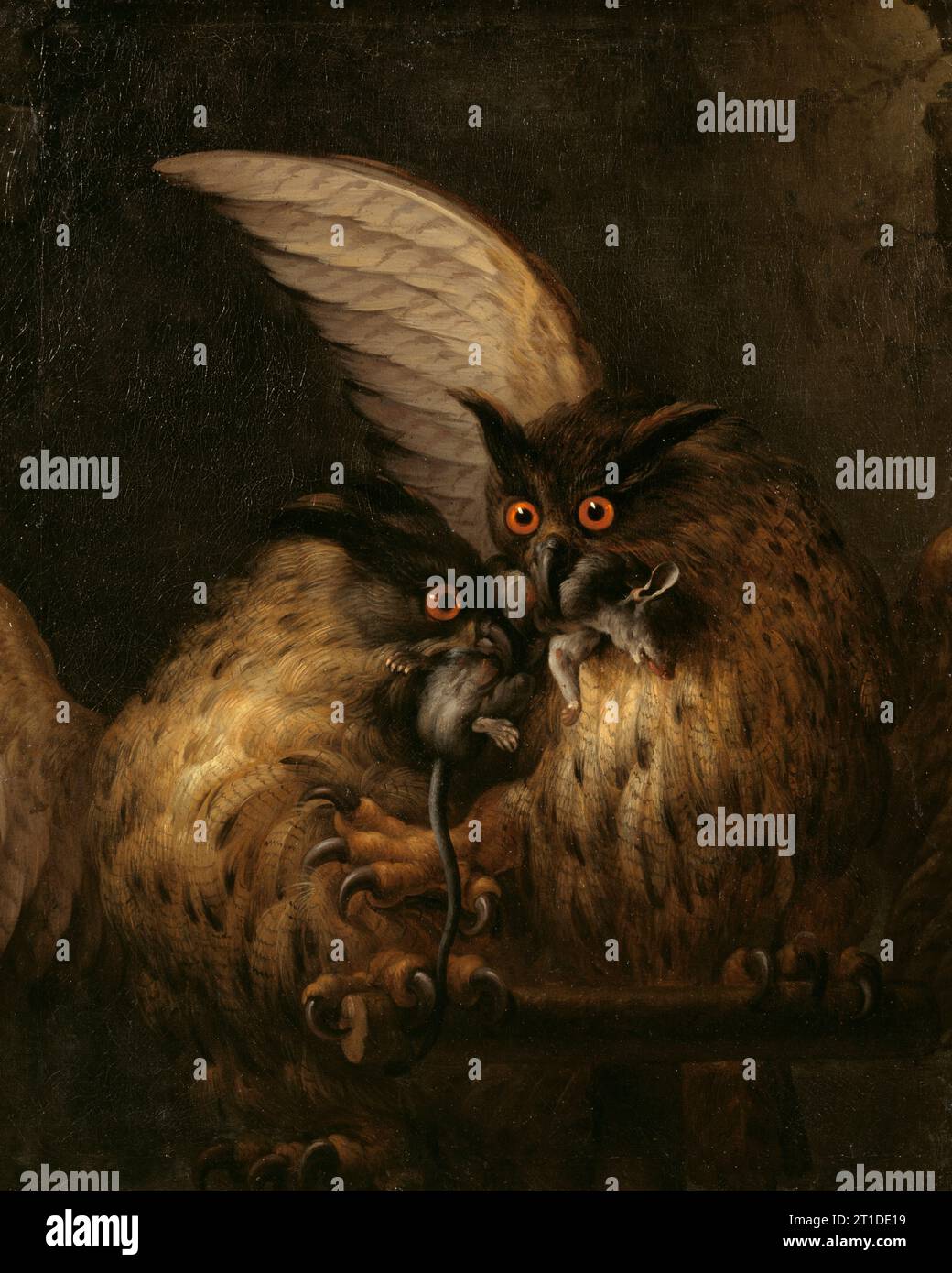 Two Owls Fighting over a Rat, late 17th-early 18th century Stock Photo ...