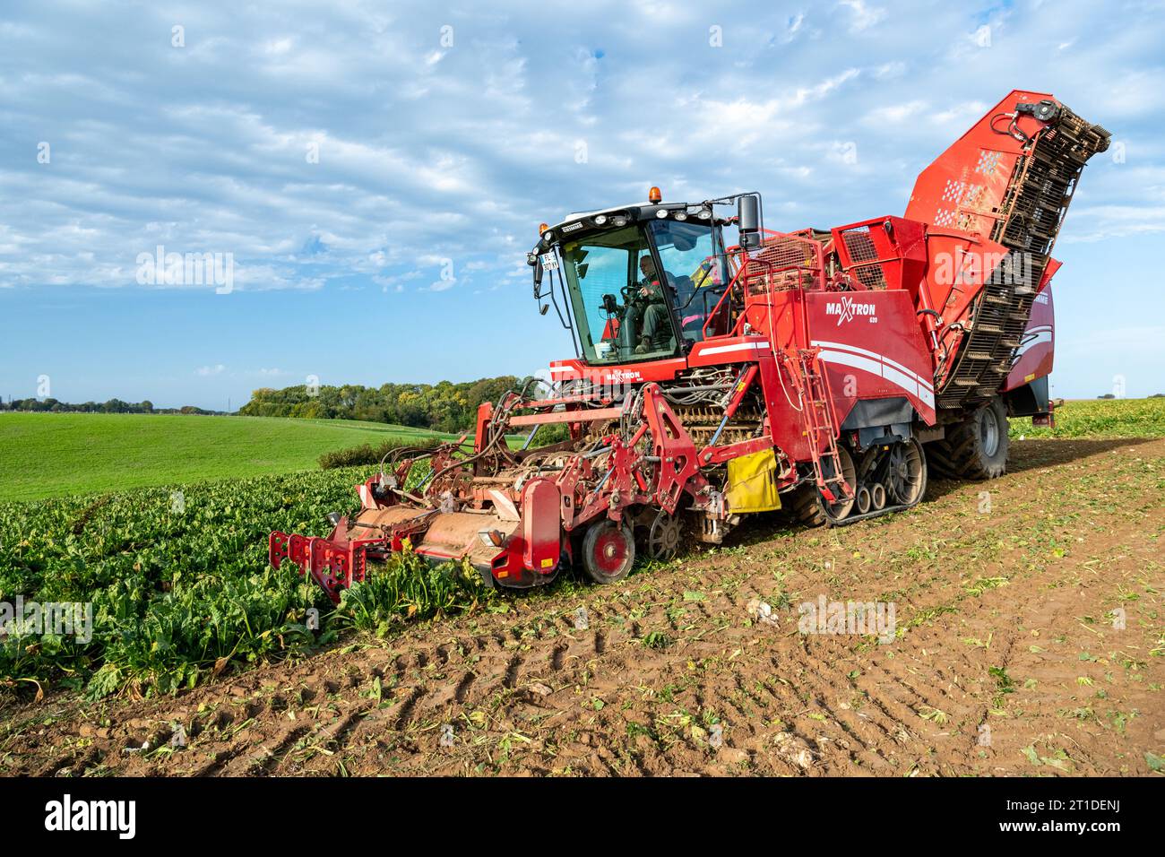 Grimme Maxtron sugar beet harvester for use on steep, greasy fields ...
