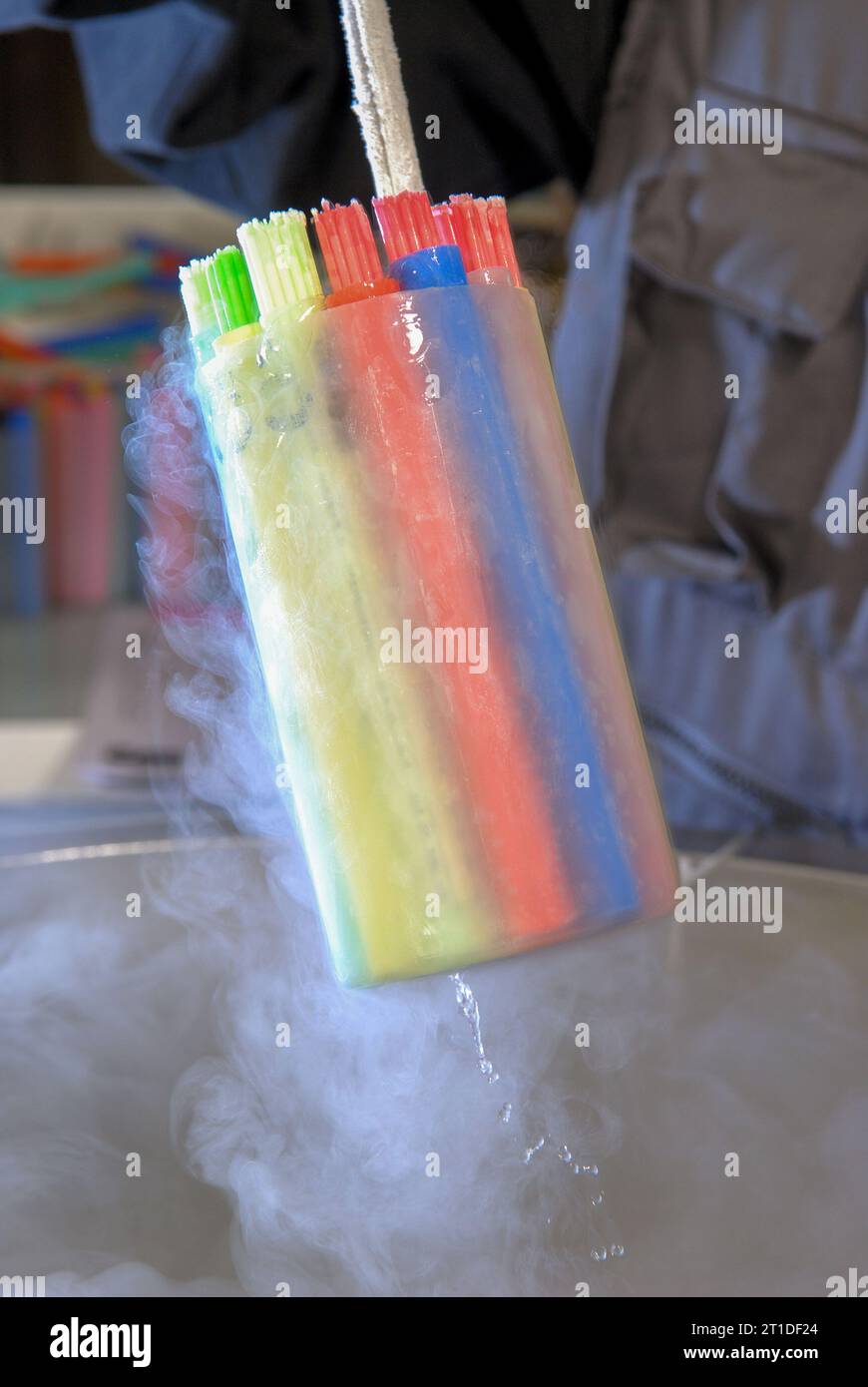 Insemination for cattle breeding: removal of straws from the liquid ...