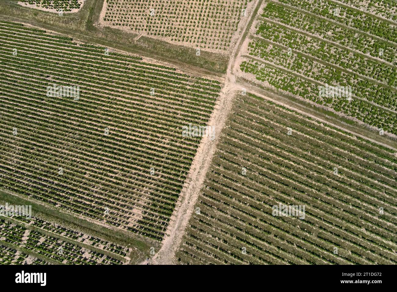 Beaujolais massif hi-res stock photography and images - Alamy