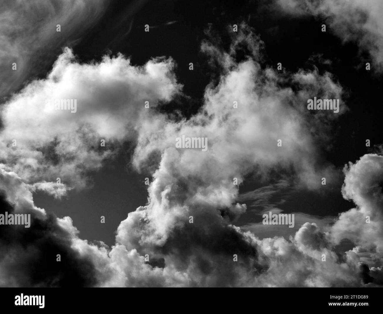 Ozone house Black and White Stock Photos & Images - Alamy