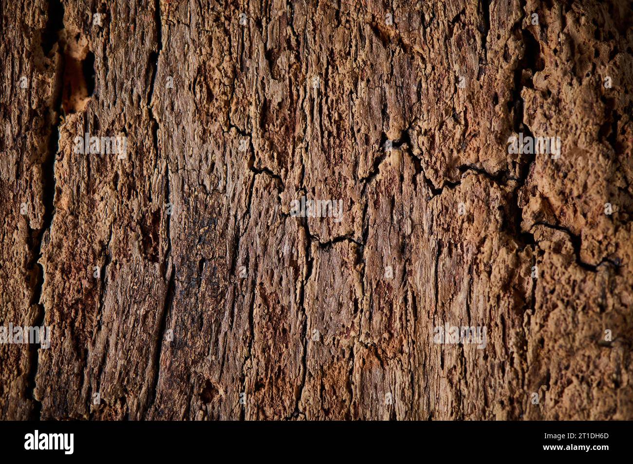 Cork bark pile hi-res stock photography and images - Alamy