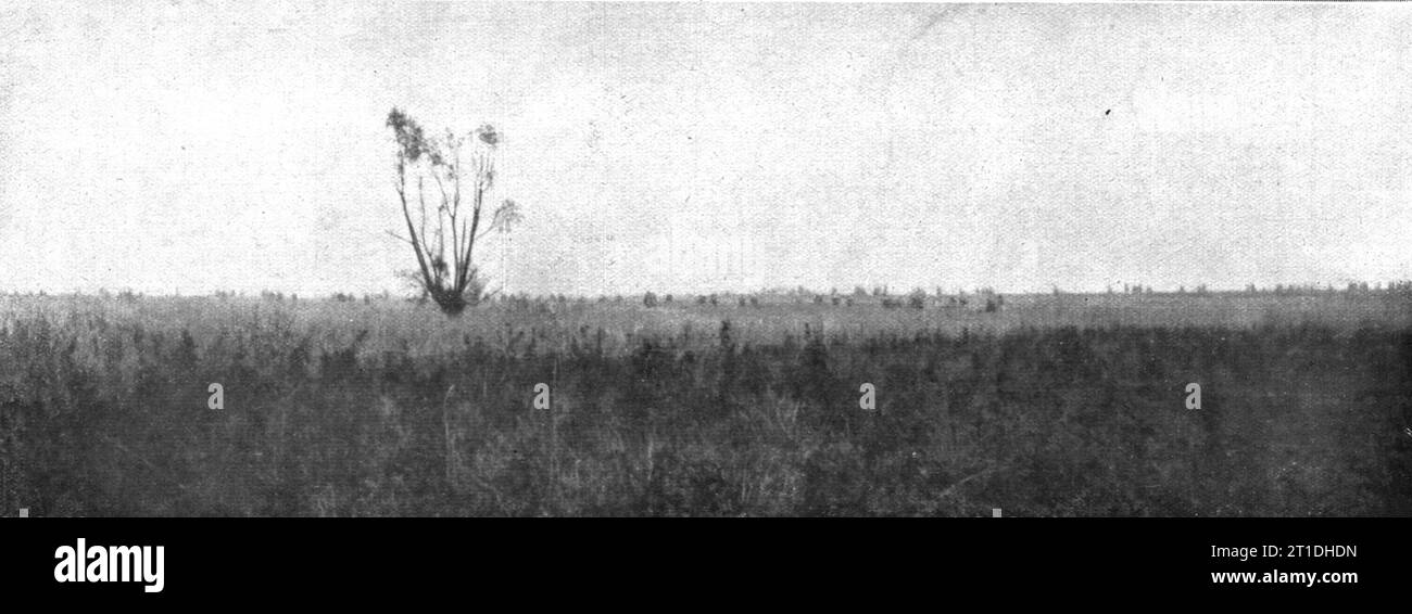'Notre Attaque du 12 septembre 1916 ; Le saule est depasse ; nos ... 'Notre Attaque du 12 septembre 1916 ; Le saule est depasse ; nos ...