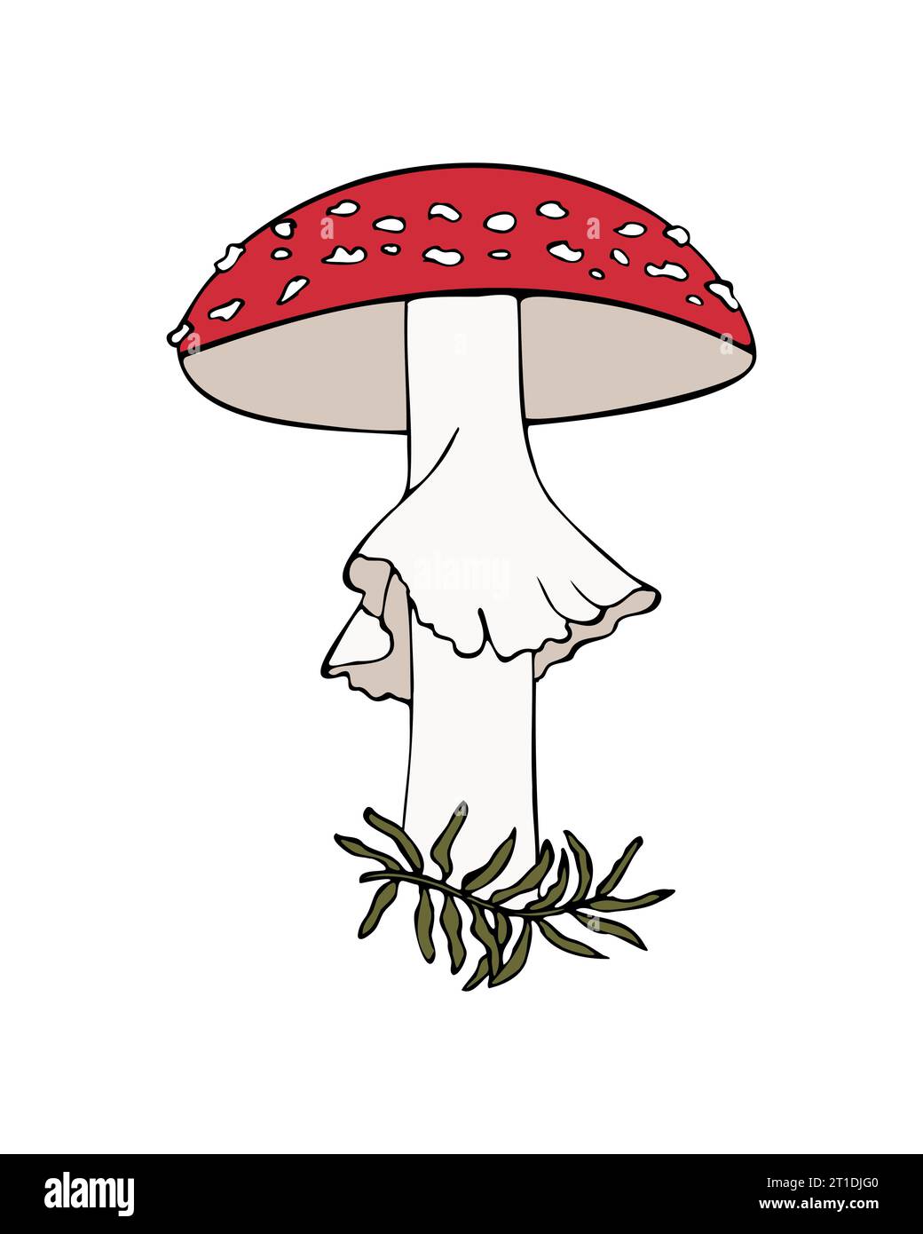 Fly agaric hand sketch. Linear contour vector illustration. Vector ...