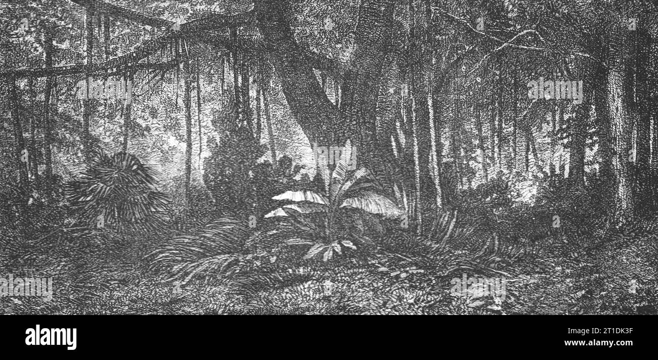 Java w hi-res stock photography and images - Alamy