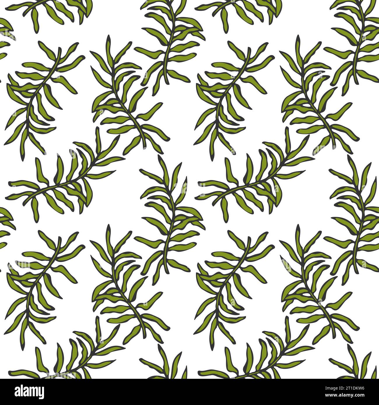 Moss twig hand drawn doodle pattern on white background. Vector ...