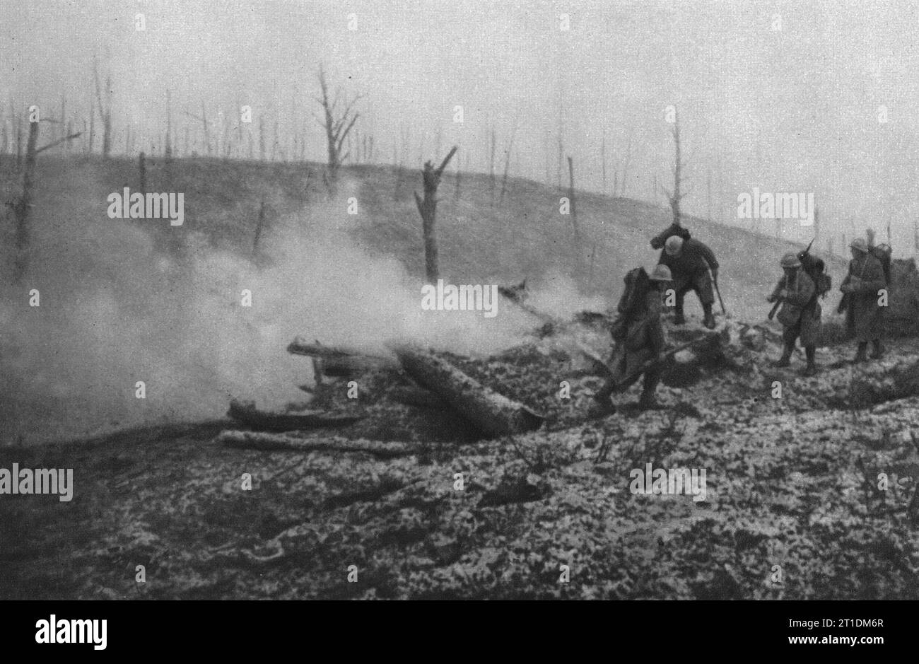Loup de guerre hi-res stock photography and images - Alamy