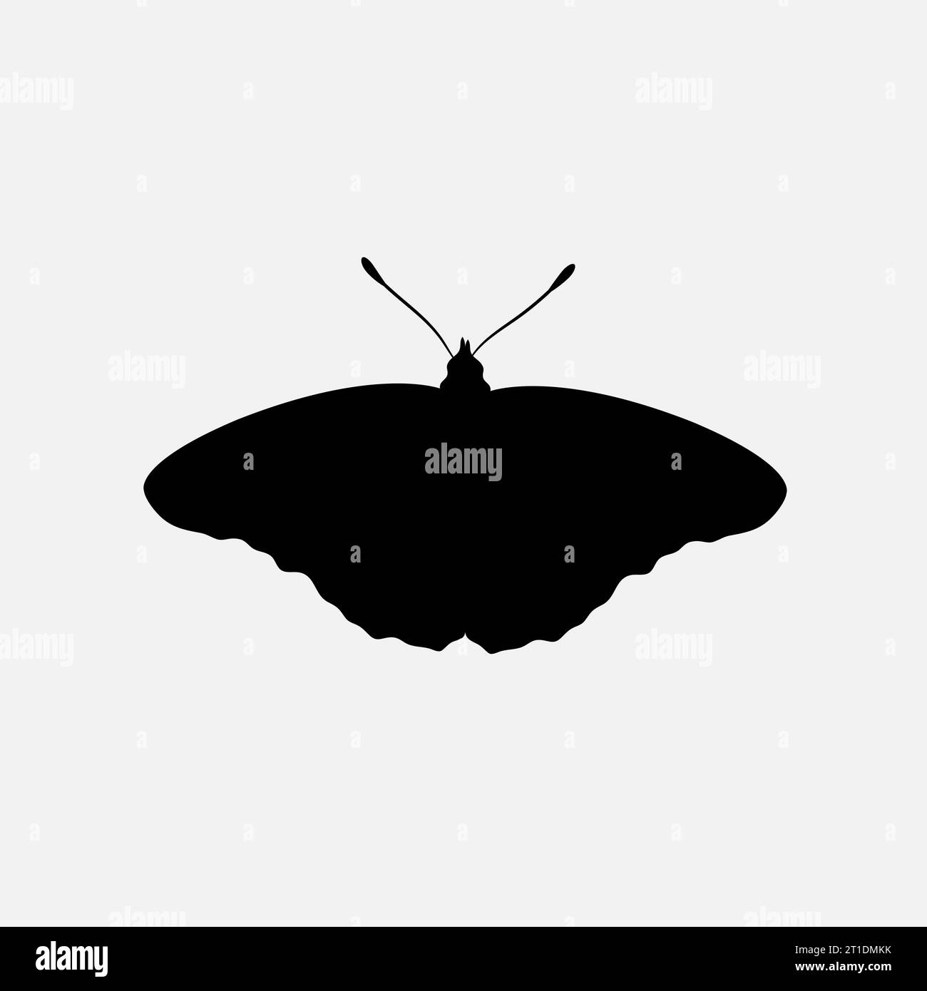 Vector collection beautiful butterfly Black and White Stock Photos ...
