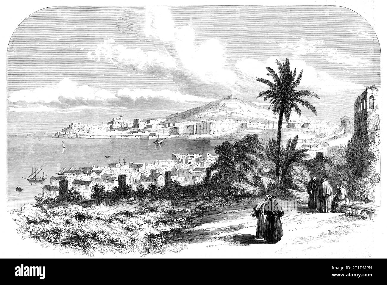 Strong tree s Black and White Stock Photos & Images - Alamy