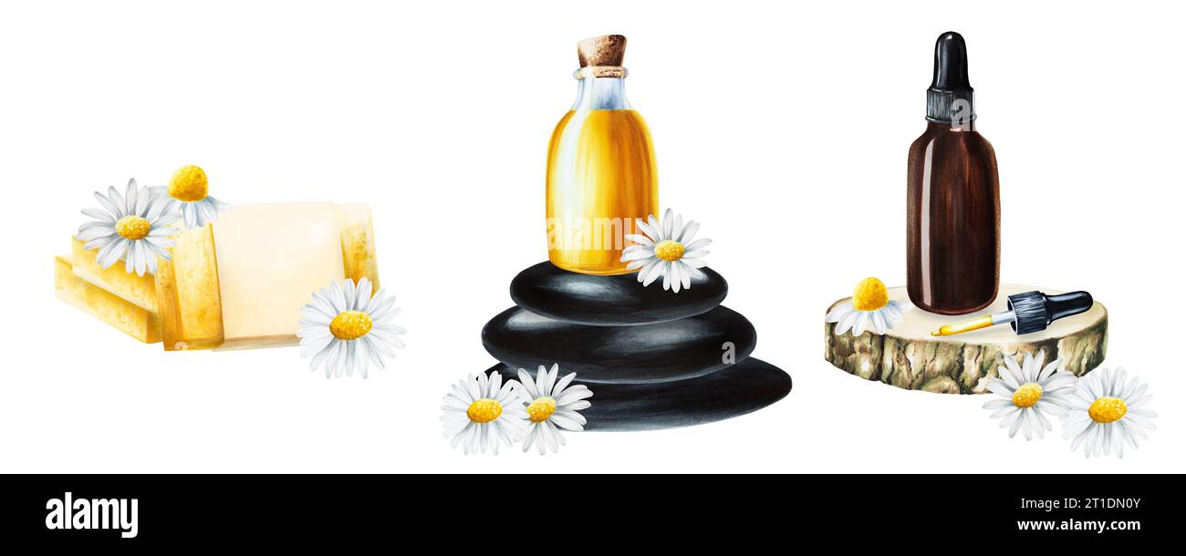 Watercolor white daisy flowers, bottle of serum, soap, cream with ...
