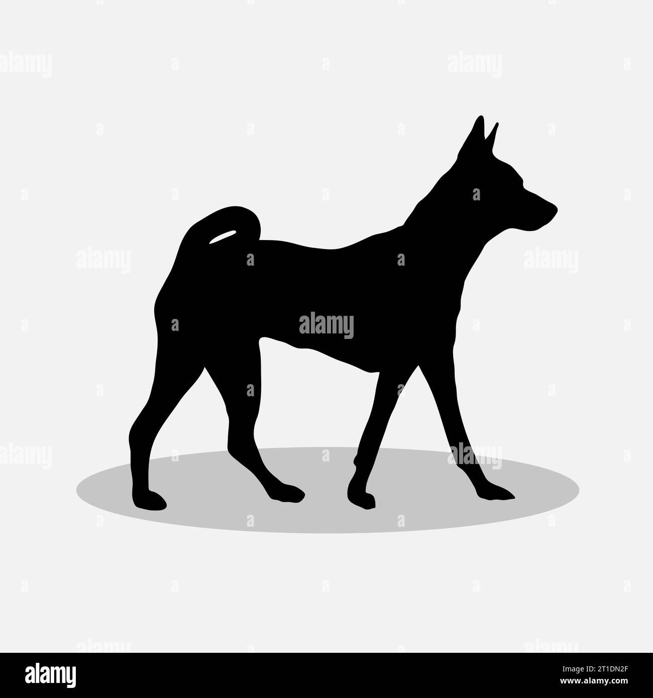 Front view dog standing Stock Vector Images - Alamy