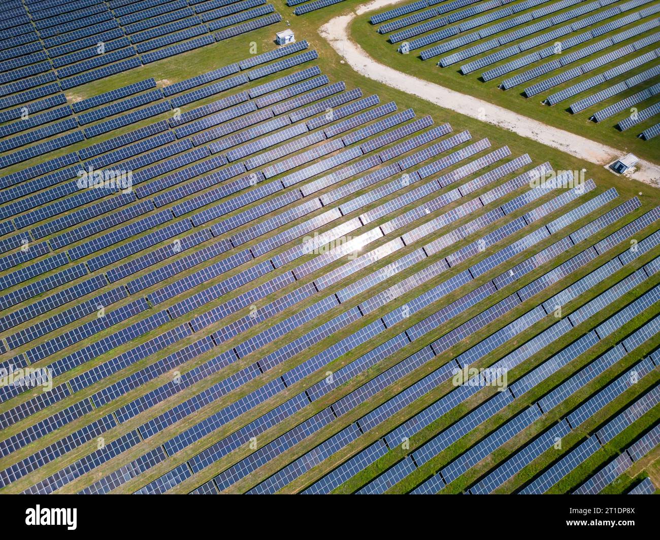Amidst a lush meadow and forest, solar panels stand tall, harnessing ...