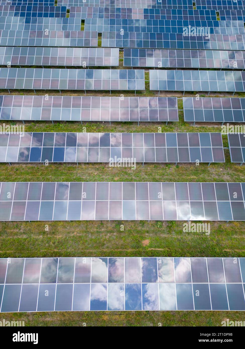 Amidst a lush meadow and forest, solar panels stand tall, harnessing ...