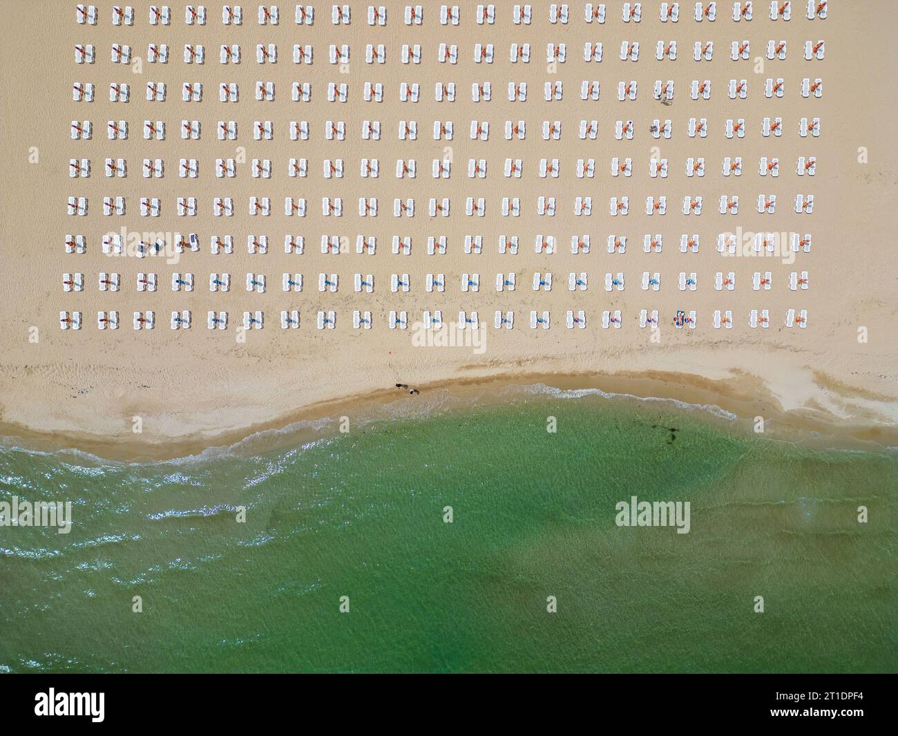 A sandy beach stretches along the seaside, adorned with empty sun ...