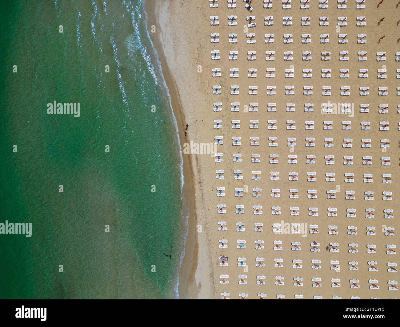 A sandy beach stretches along the seaside, adorned with empty sun ...