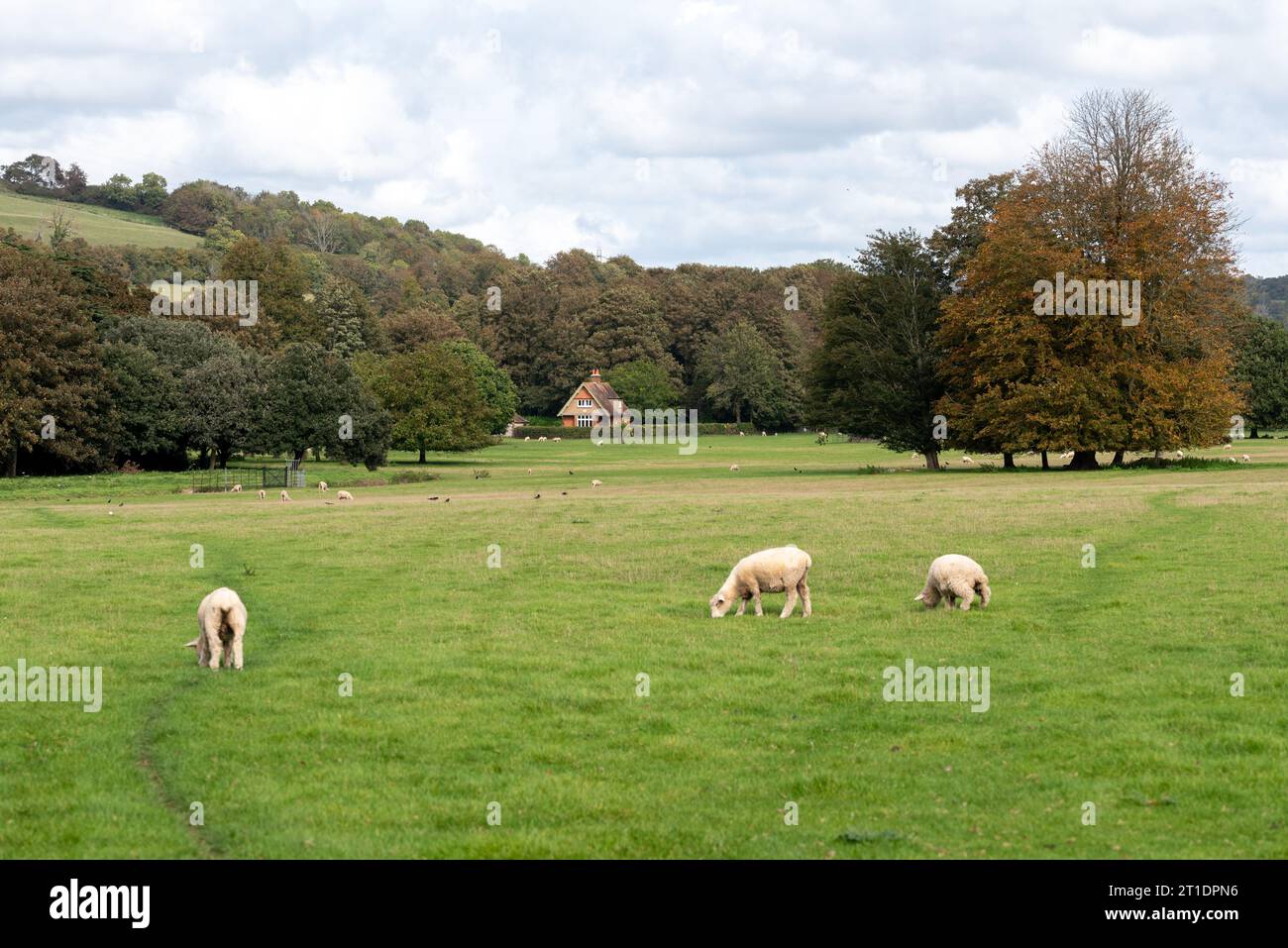 English country cottage farm hi-res stock photography and images - Alamy