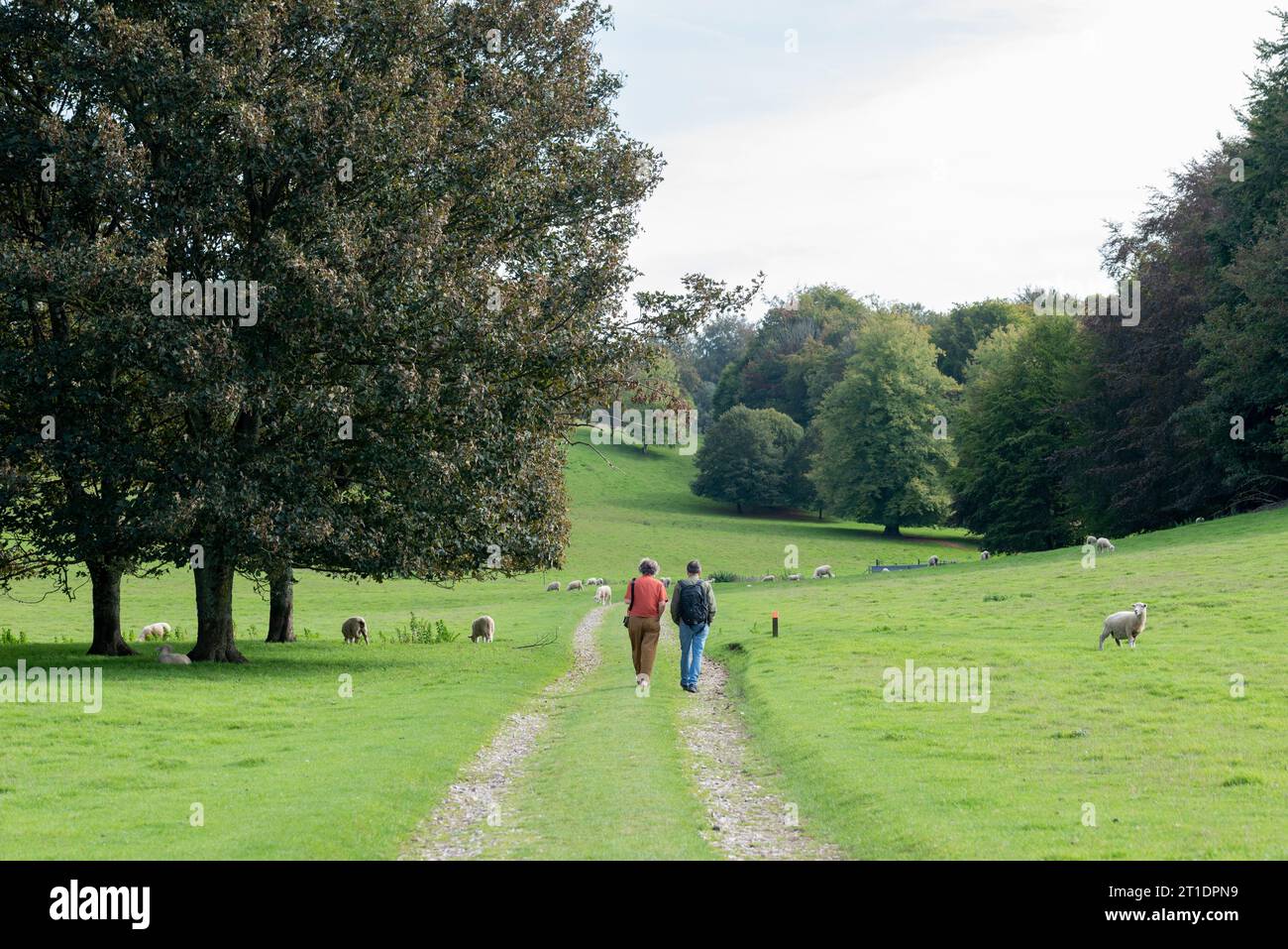 A couple of people walking along a path in the English countryside past ...