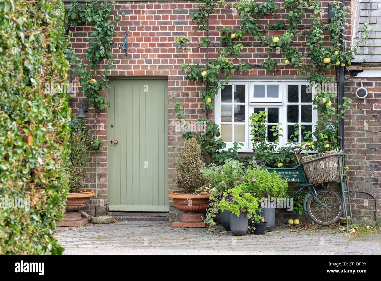 Traditional British rural scene, outside of a cottage with bicycle, pot ...
