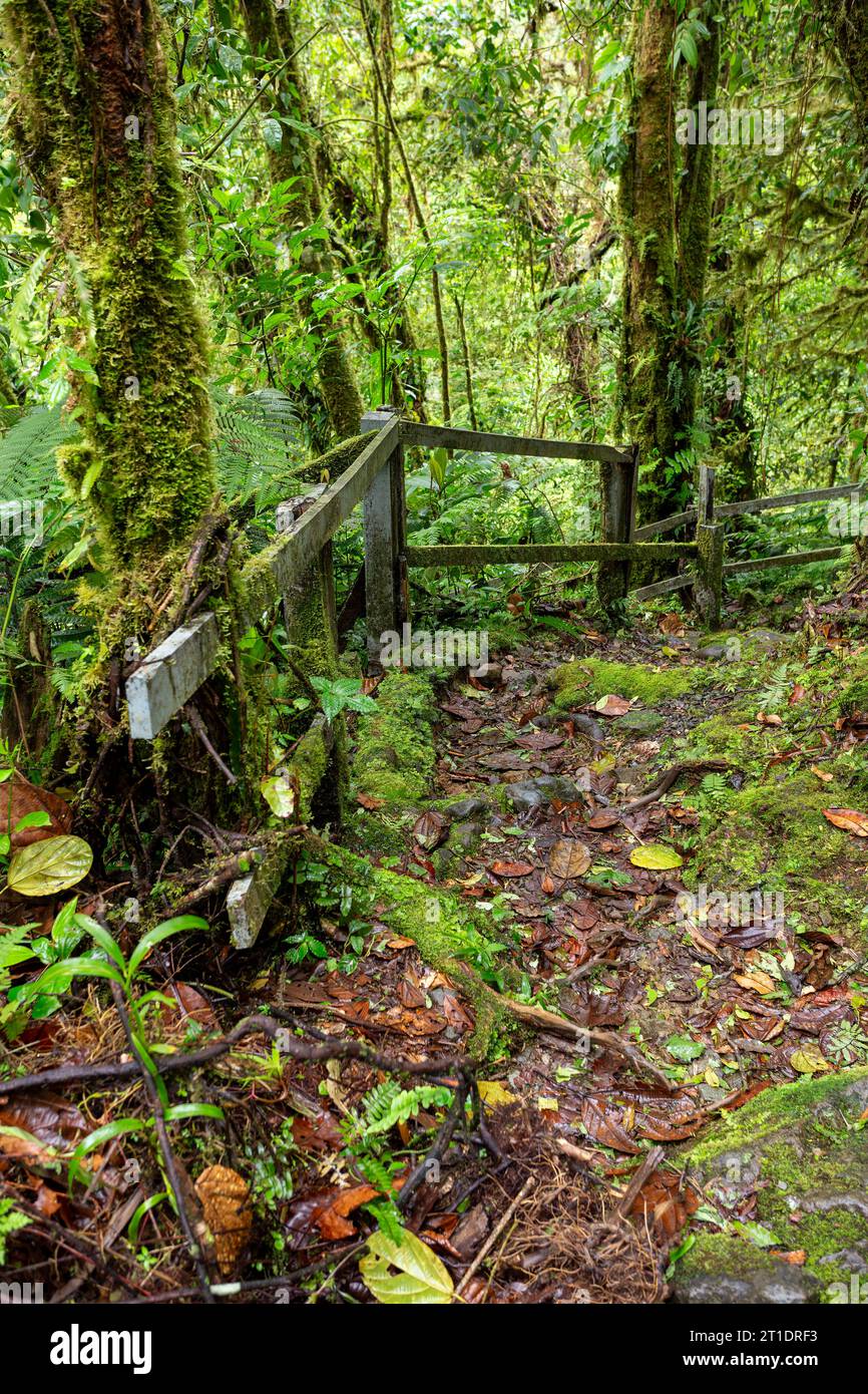 Costa rica stars hi-res stock photography and images - Alamy