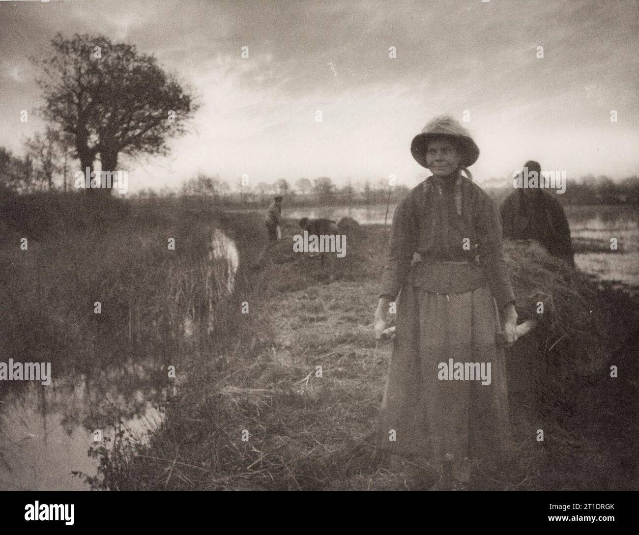 Poling the marsh hay hi-res stock photography and images - Alamy