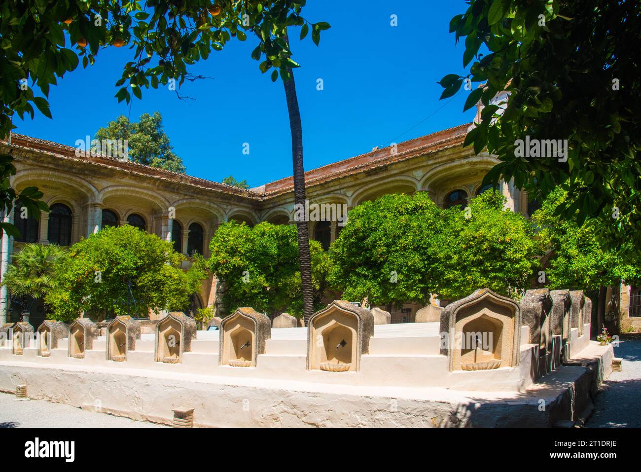 Naranjas valencia hi-res stock photography and images - Alamy