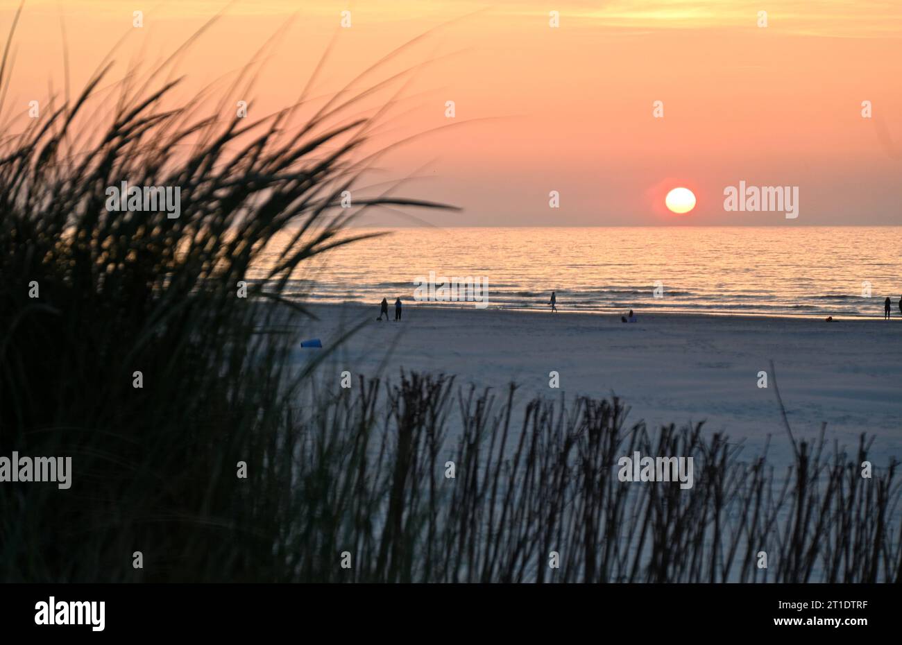 Sunset at Nes beach on the island of Ameland, Friesland, Netherlands ...