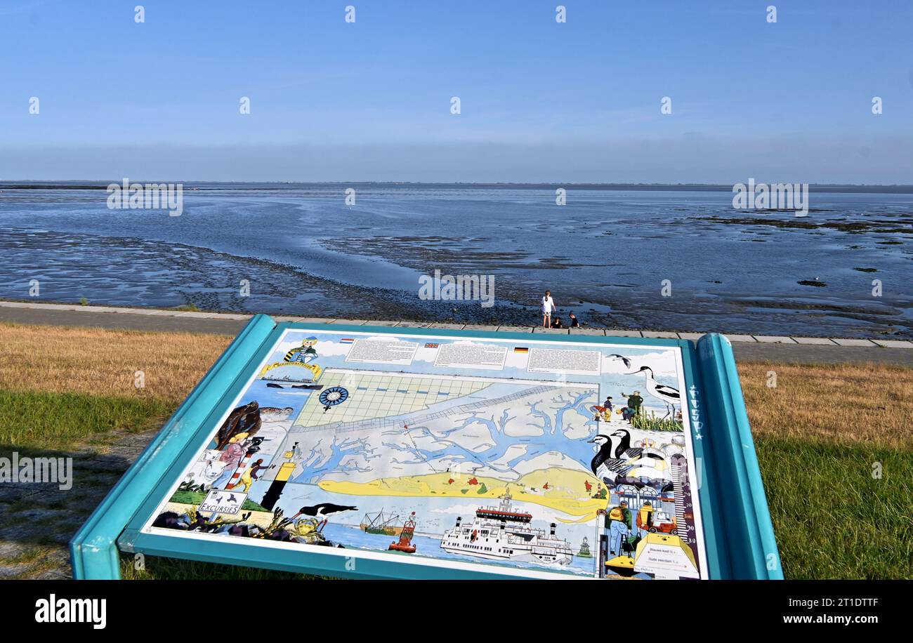 on the Wadden side at Nes on the island of Ameland, Friesland ...