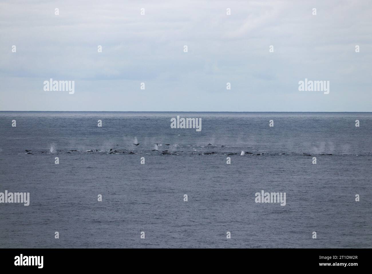 Drake Passage or Drake Strait between Argentina and Antarctica; large ...