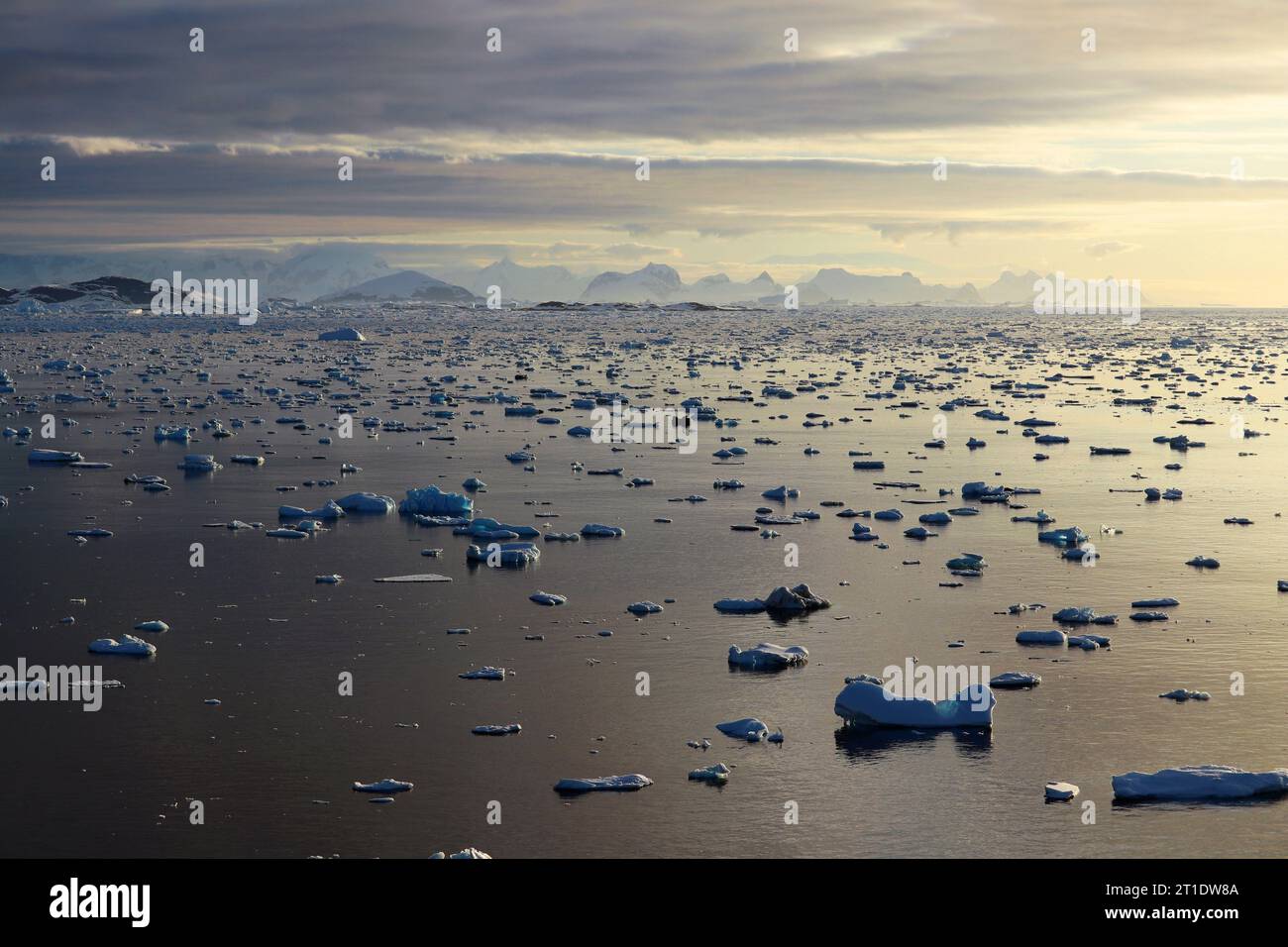 Antarctic; Antarctic Peninsula; Drive from Petermann Island towards ...