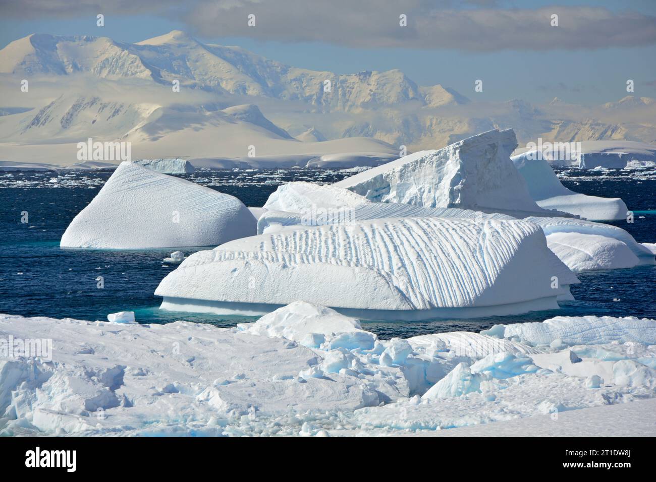 Antarctic; Antarctic Peninsula at Port Charcot; Snow covered mountains ...