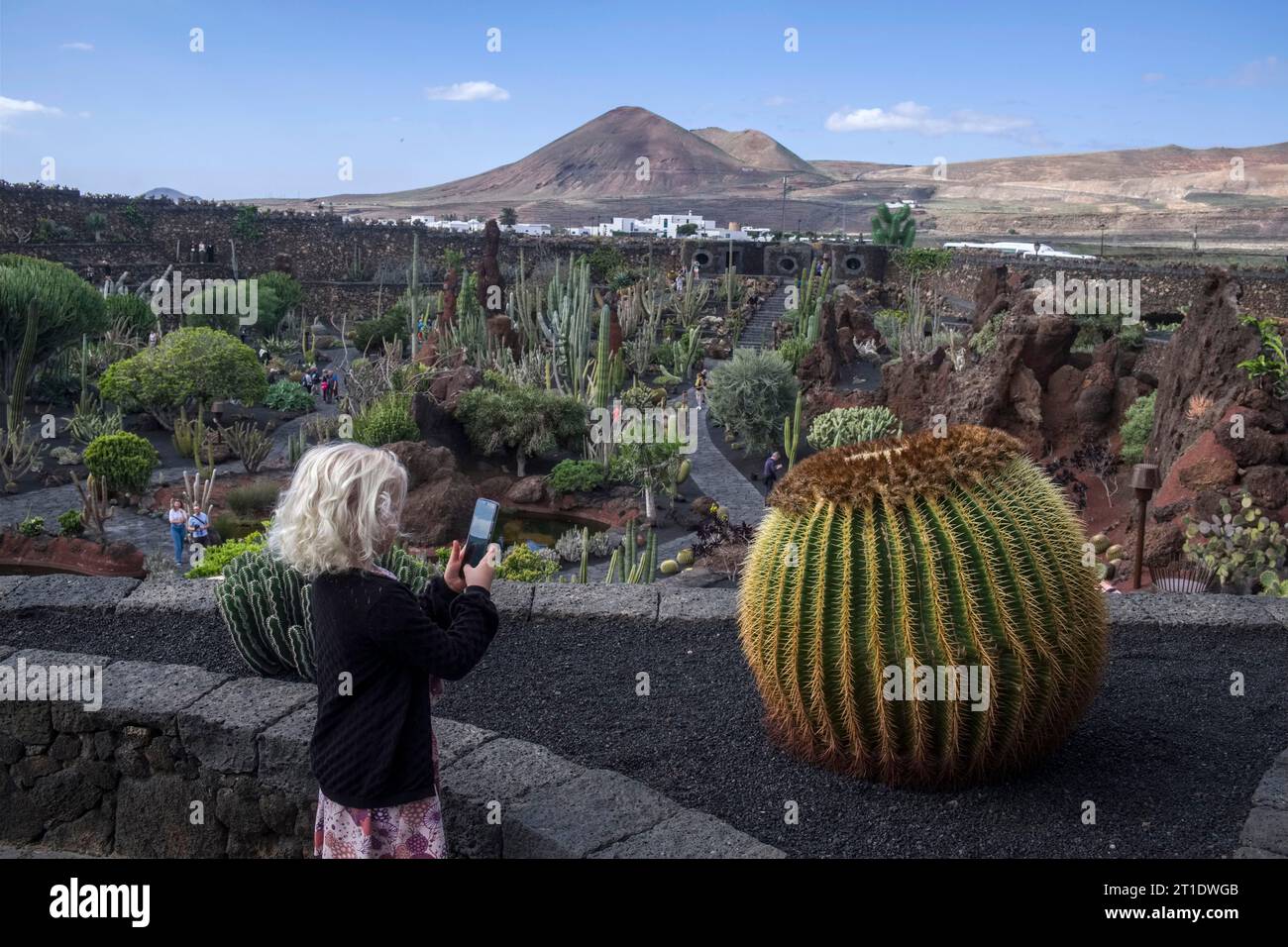 Spain, Canary Islands, Lanzarote:the Cactus Garden in Guatiza, created ...