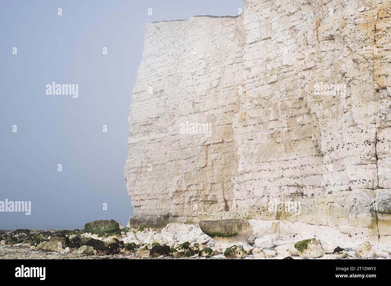 Misty morning in Hope Gap beach, Cuckmere Haven, located between ...