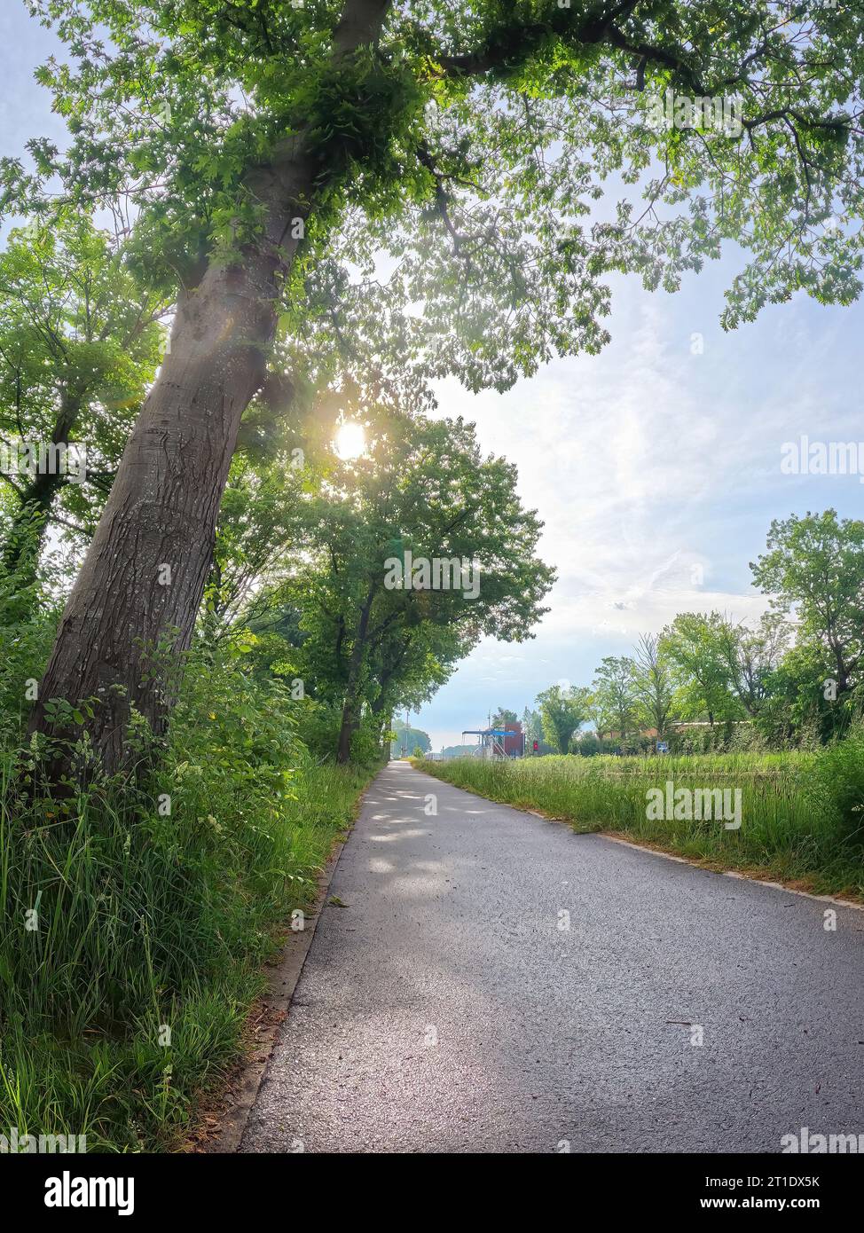 Mesmerizing natural setting hi-res stock photography and images - Alamy