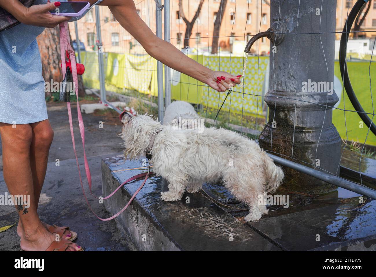 Water fountain colosseum rome italy hi-res stock photography and images ...