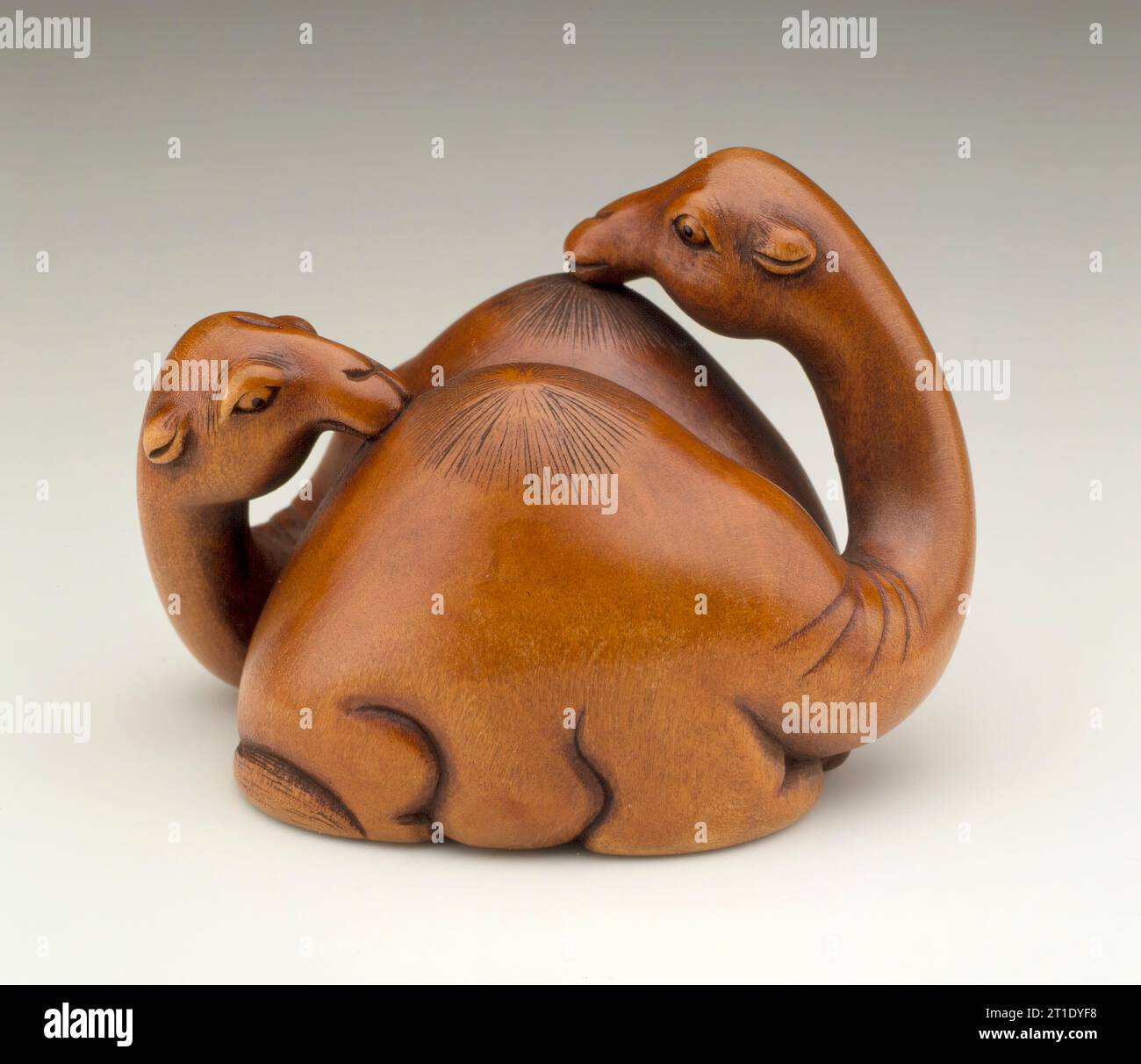 Camel Pair, Late 19th century Stock Photo - Alamy