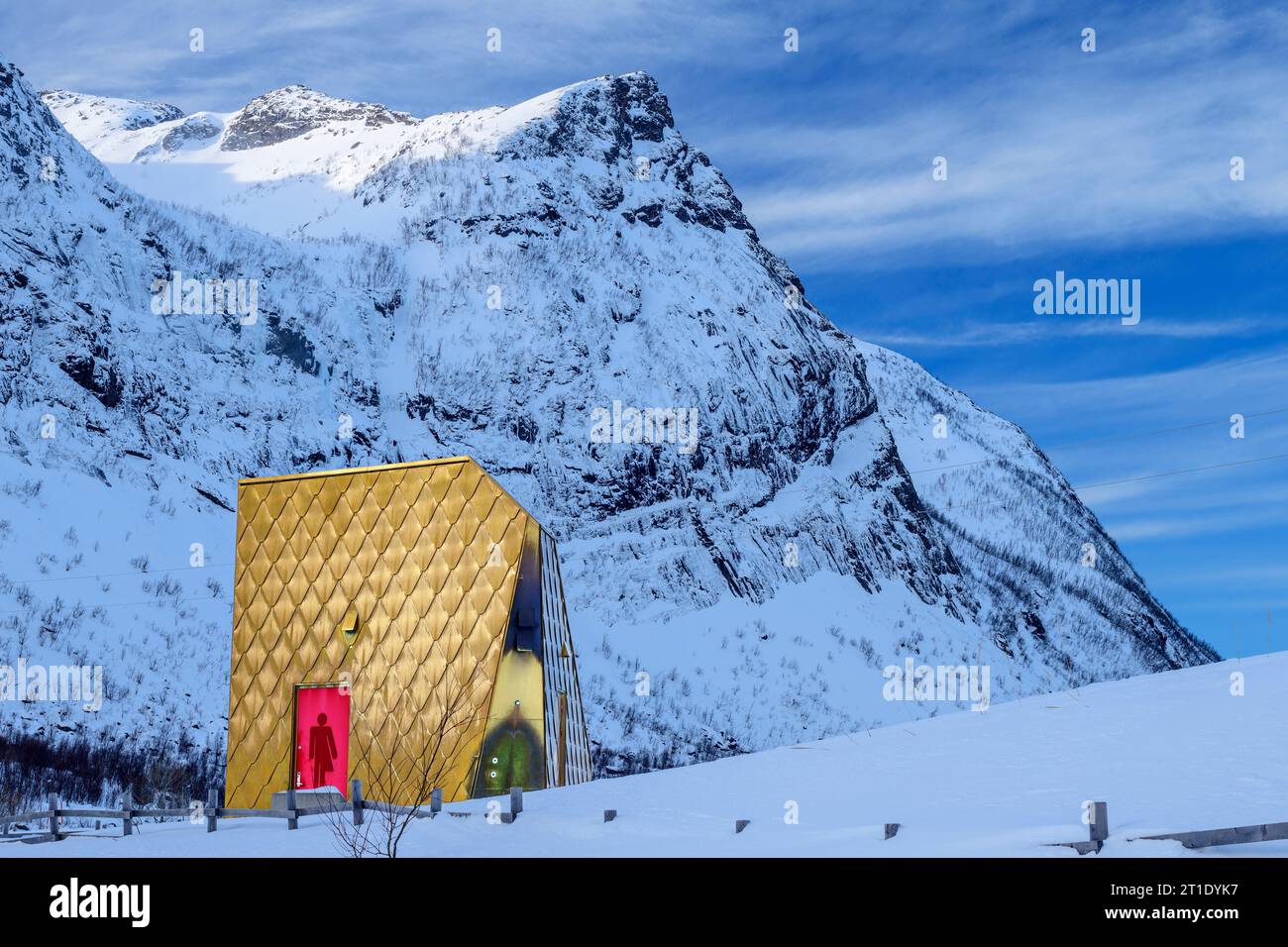 Golden toilet hi-res stock photography and images - Alamy