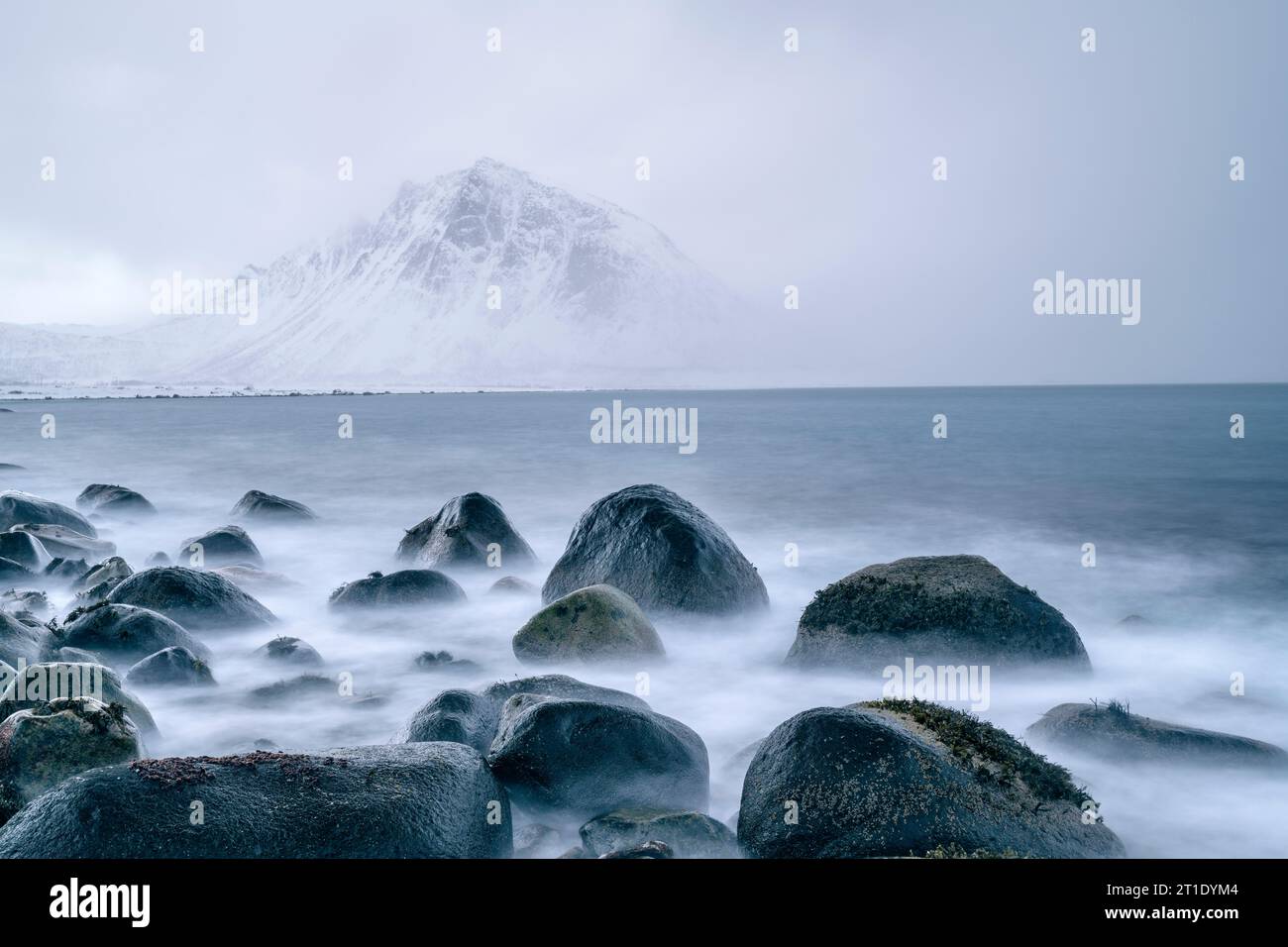 Large roundels hi-res stock photography and images - Alamy