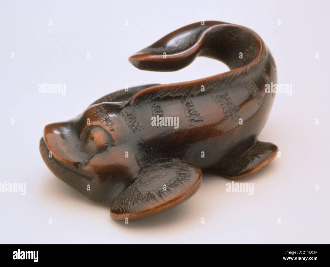 Weird Fish, 19th century Stock Photo - Alamy