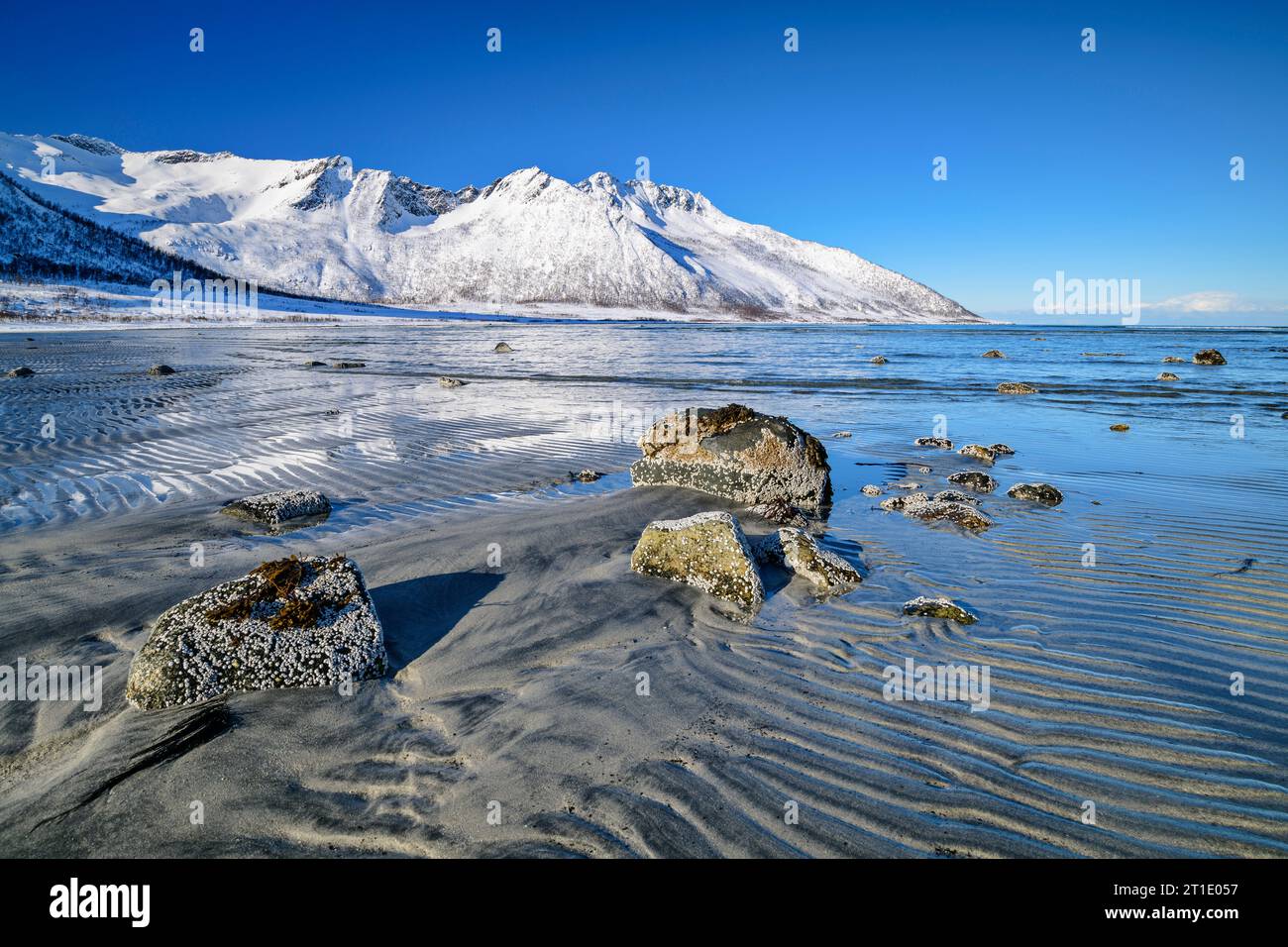 Rocks on the sandy beach of Ballesvika, Senja, Troms og Finnmark ...