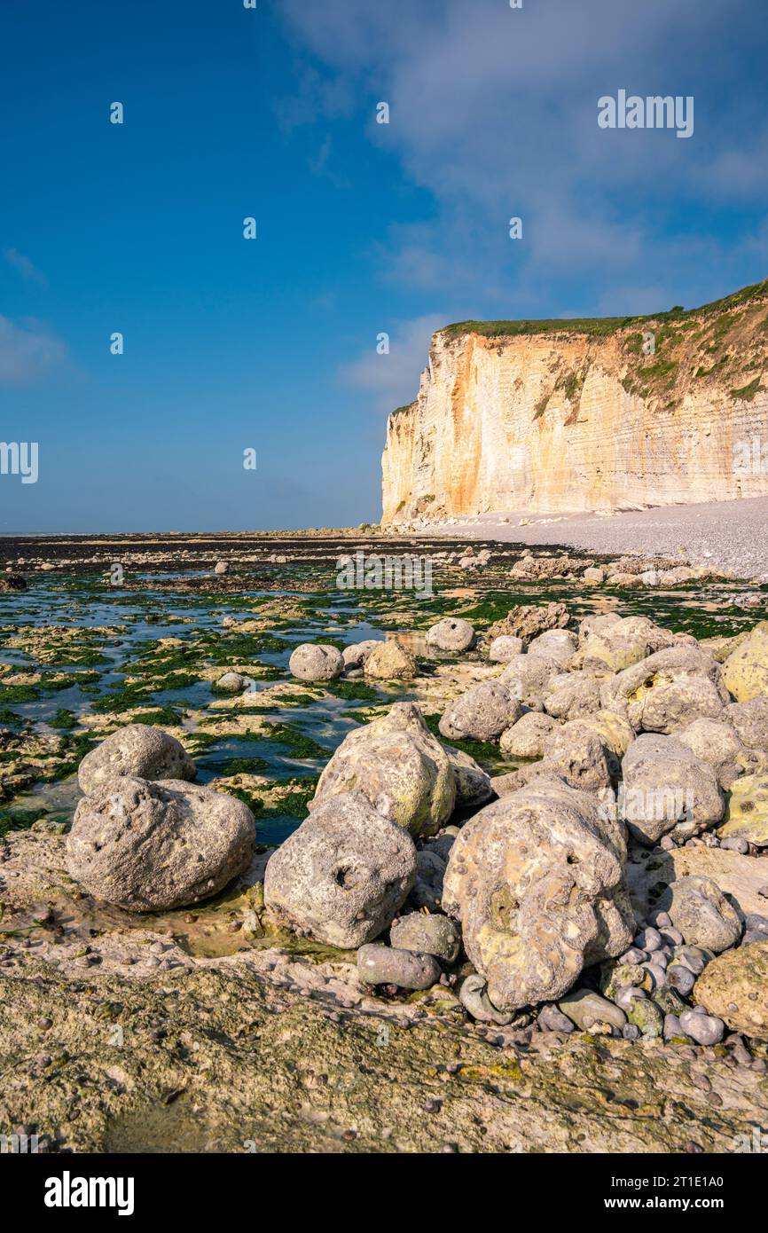 Beach on the cliffs of chalk cliffs in Normandy, France Stock Photo - Alamy