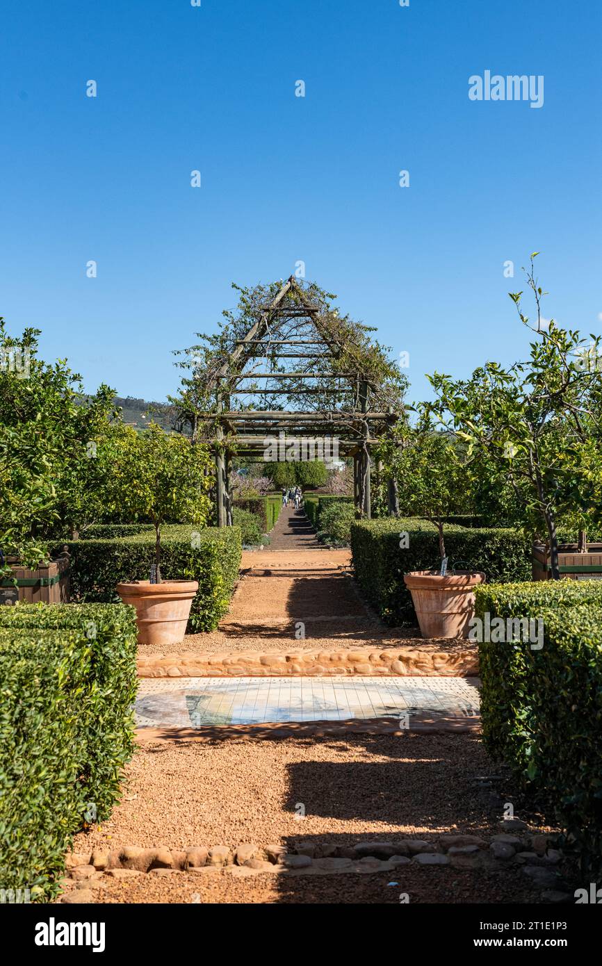 In the garden of Babylonstoren, old farm, wine farm, Franschhoek ...
