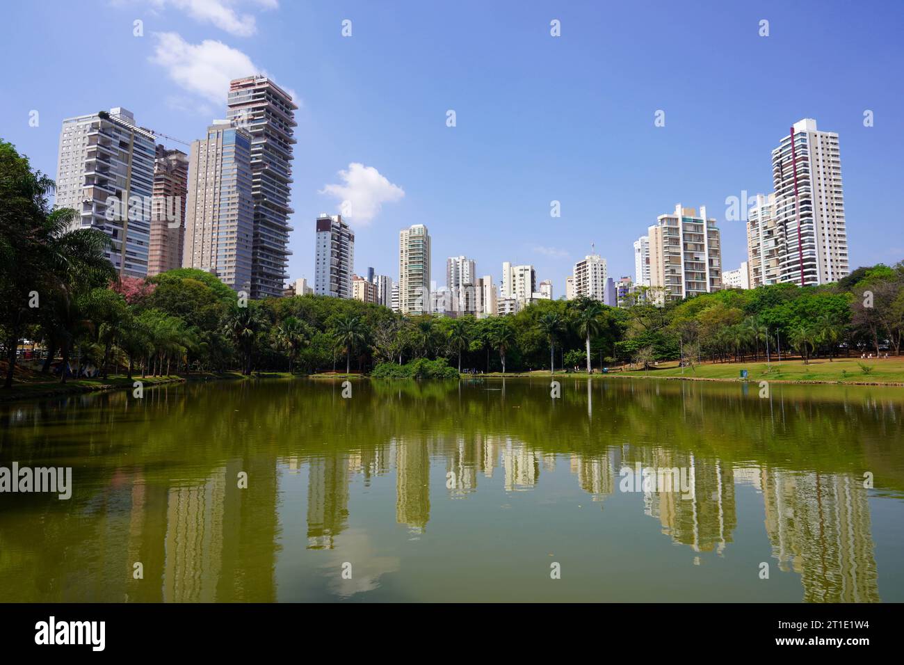 Vaca brava park hi-res stock photography and images - Alamy