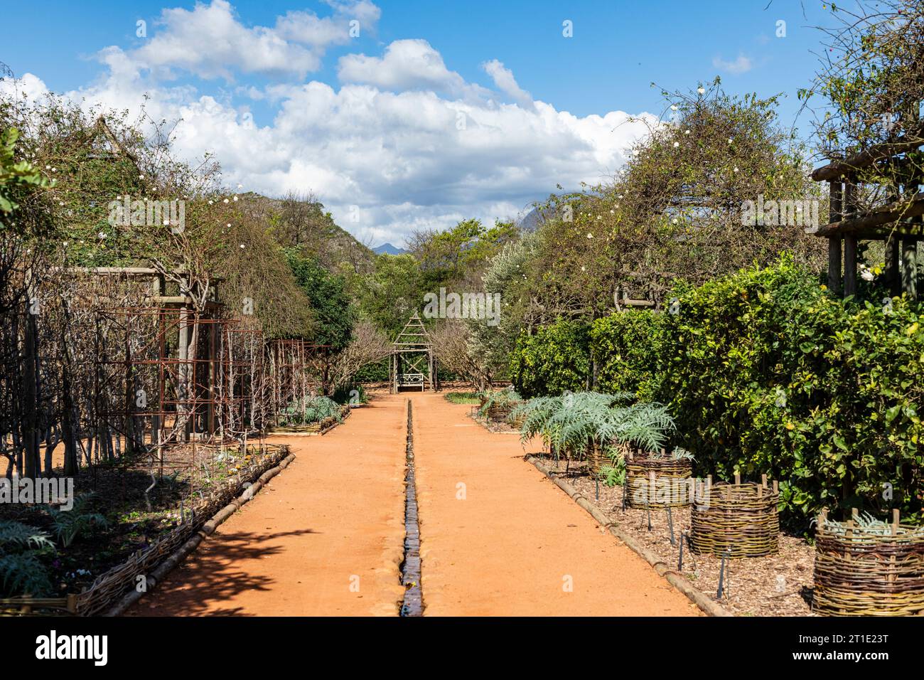 In the garden of Babylonstoren, old farm, wine farm, Franschhoek ...