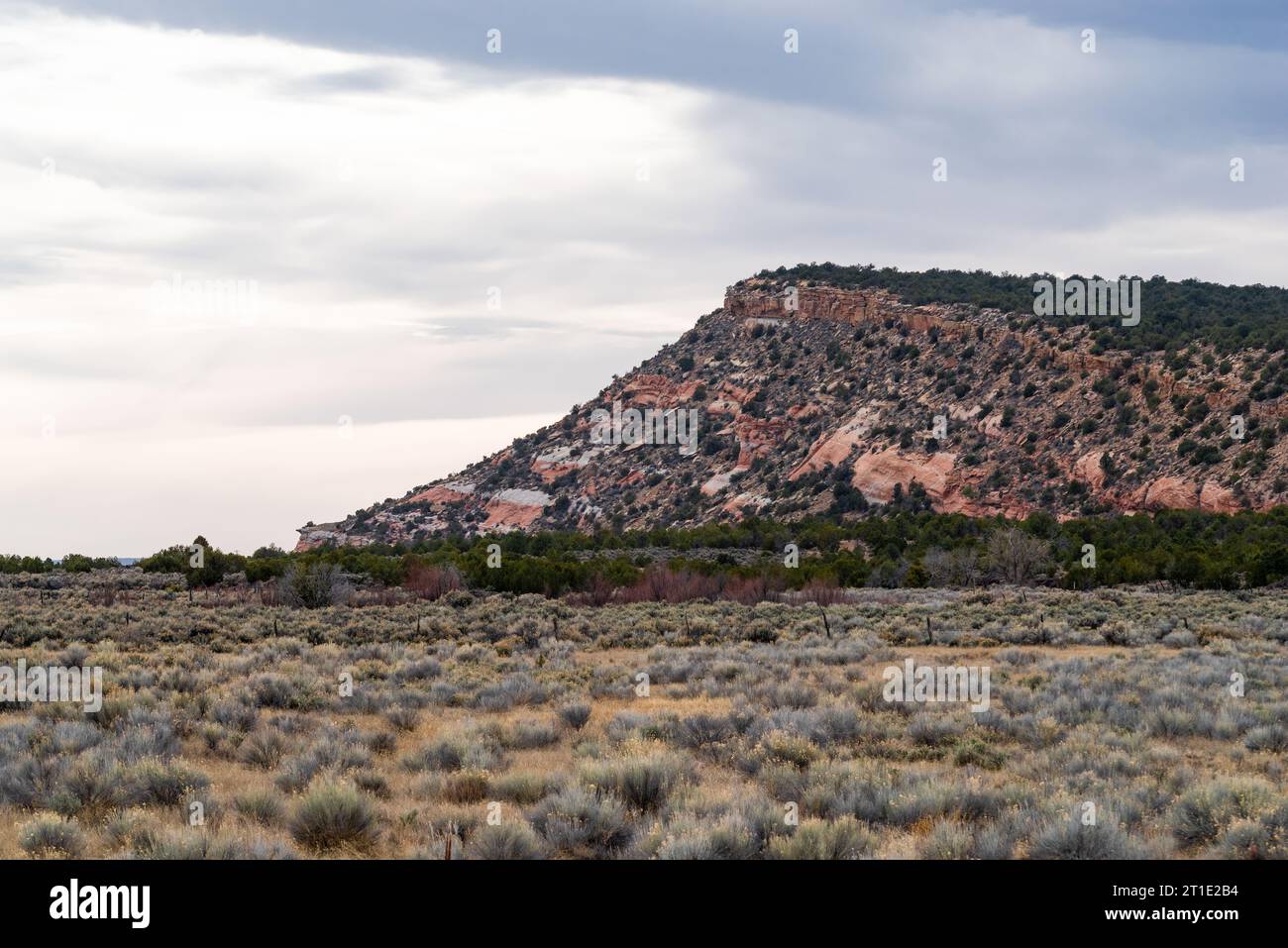 Red rock mesa hi-res stock photography and images - Alamy