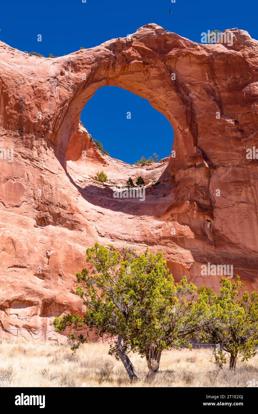 The Window Rock formation, Arizona Stock Photo - Alamy