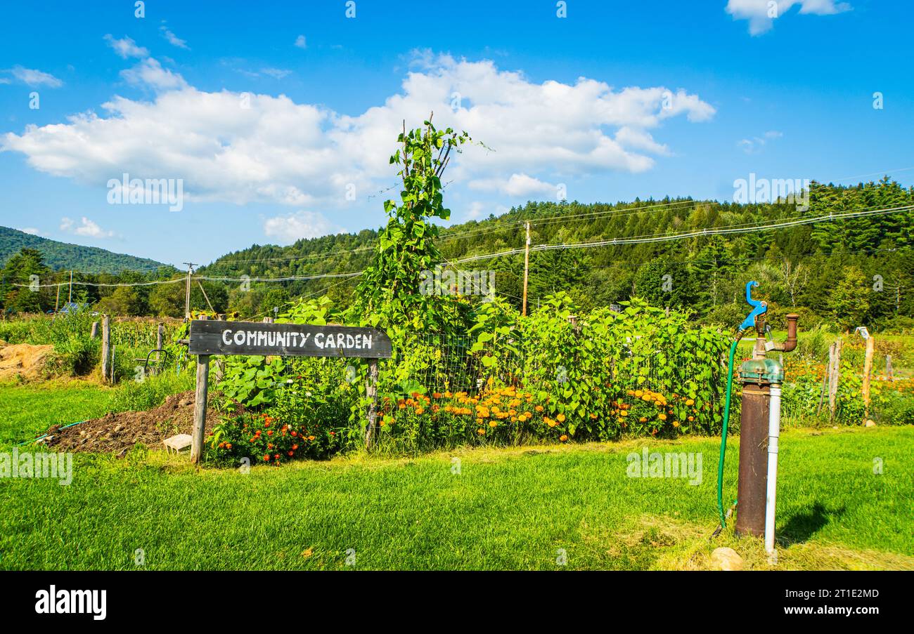 community garden providing space for people to grow their own ...