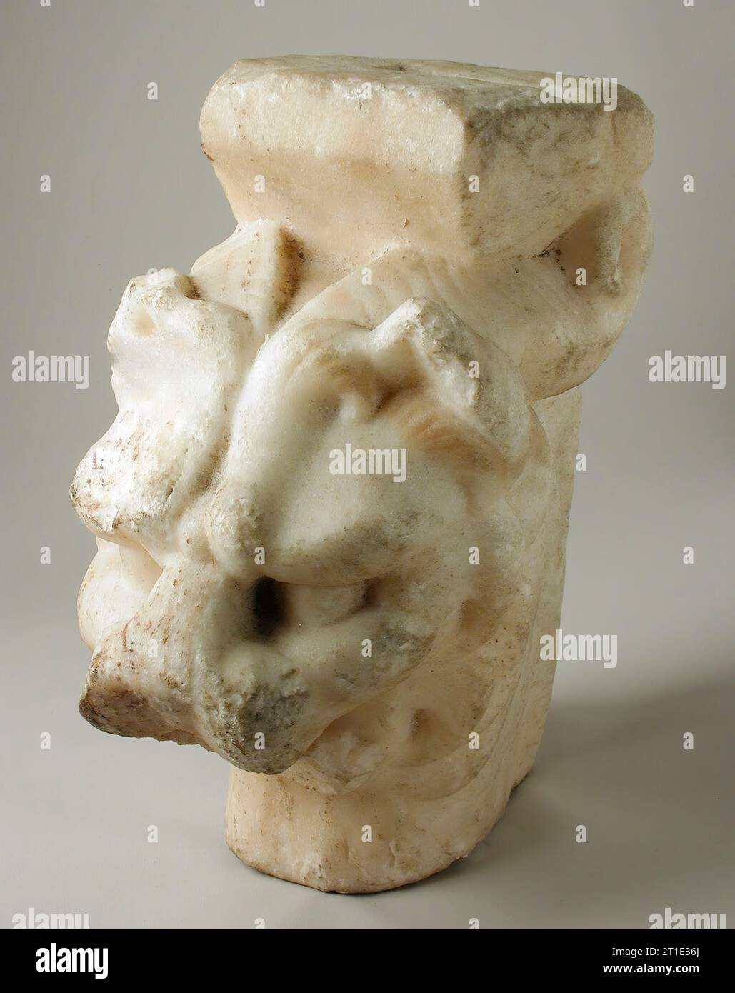 Horned lion head hi-res stock photography and images - Alamy